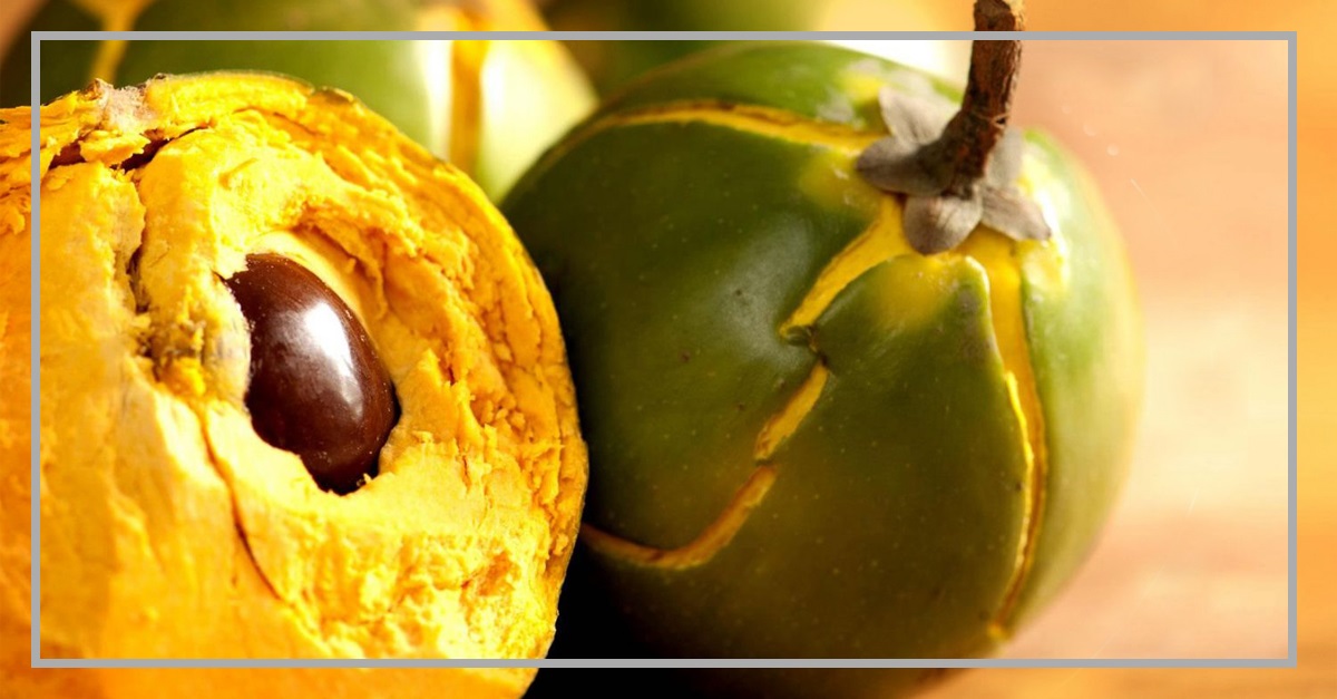 Lúcuma: 7 Beneficios Y Propiedades Geniales » 2024