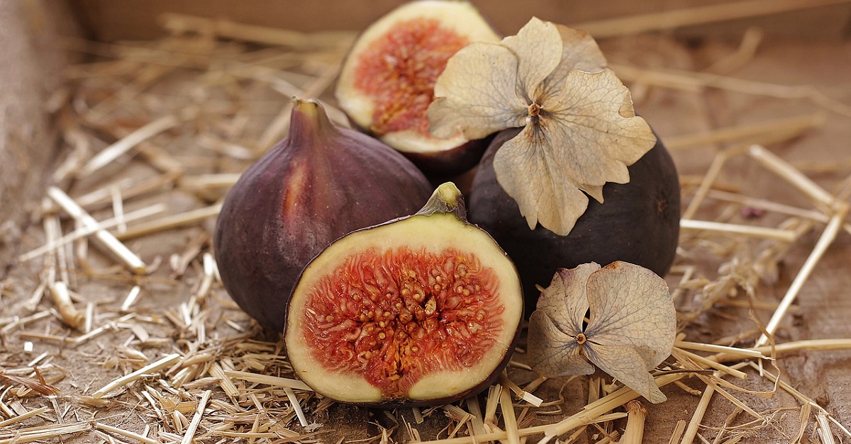 Variedades De Higos Y Sus Detalles » 2026